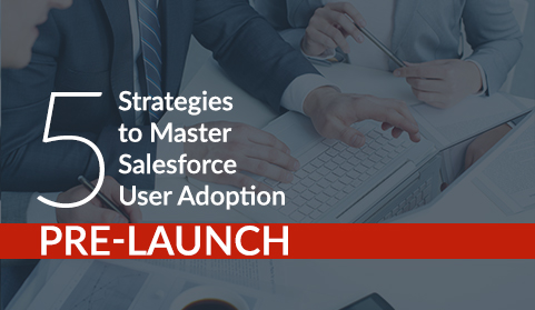 5 Strategies to Master Salesforce User Adoption: Pre-Launch